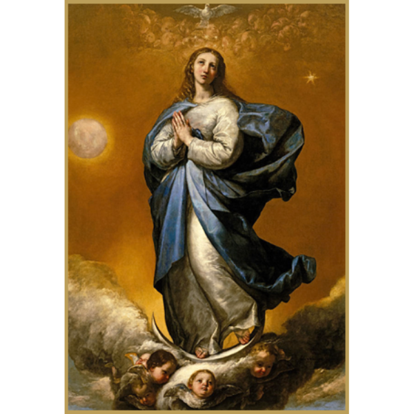 The Solemnity of the Immaculate Conception – St. James – St. Leo ...